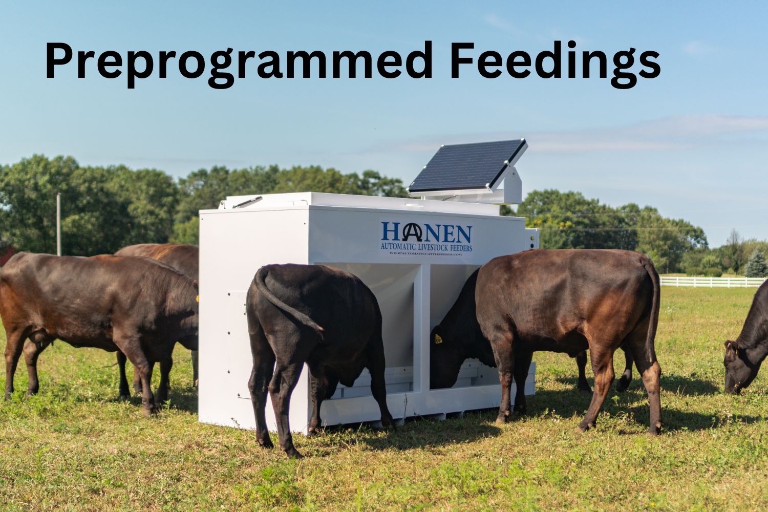Solar-Powered Livestock Feeder - Revolutionize Your Chores