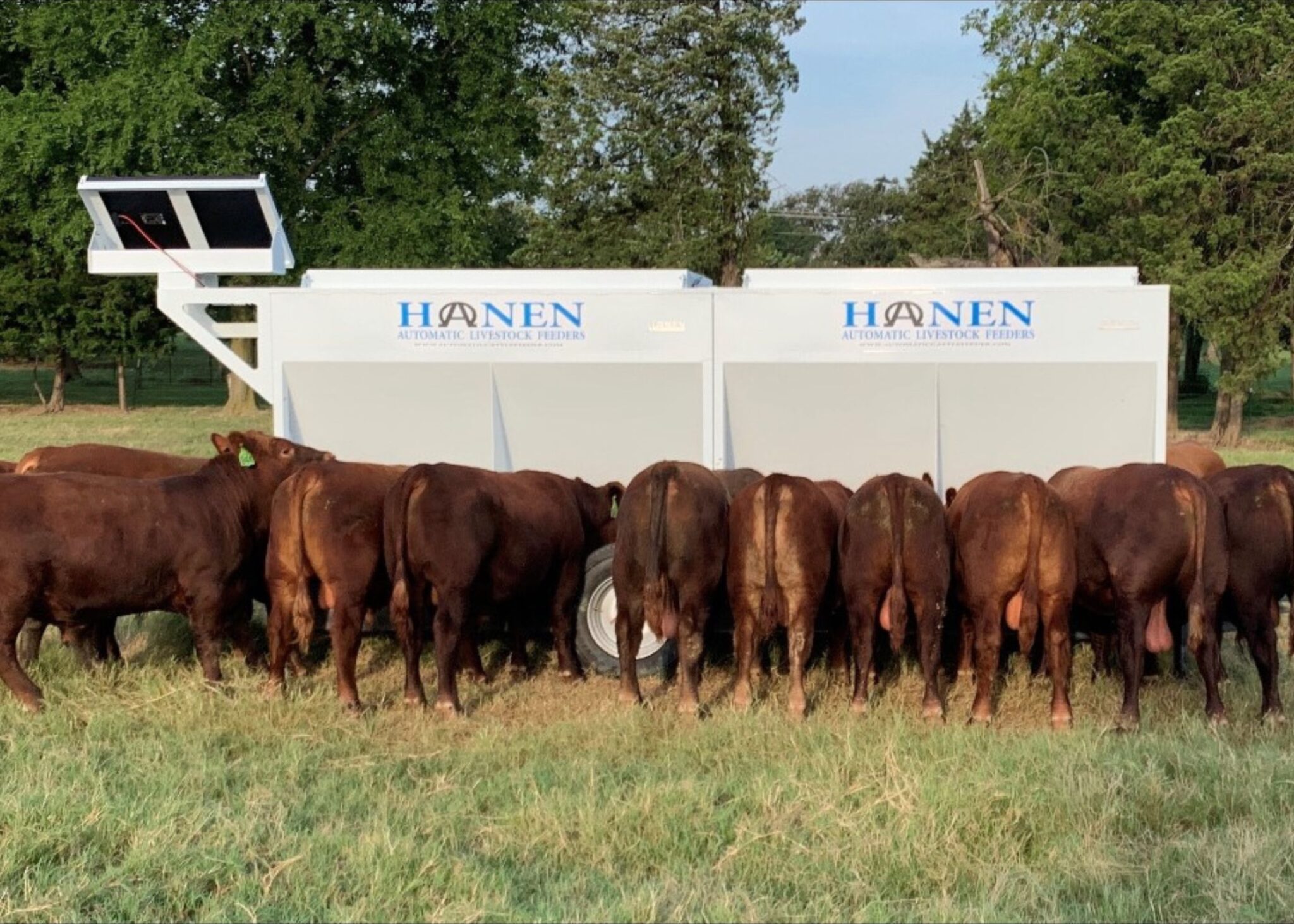 Hanen Feeder Accessories - Additional Ways to Simplify Your Life