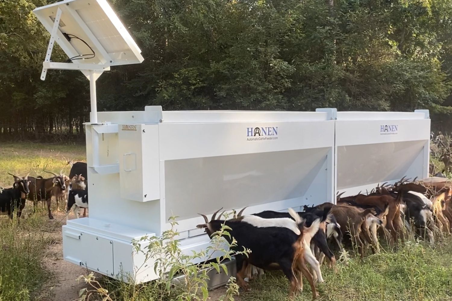 Freeing you for the things you need and want to do