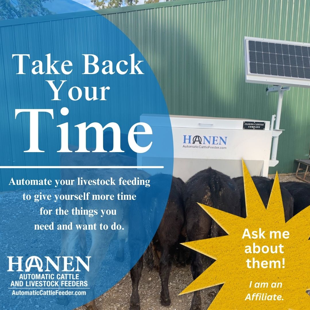 Hanen Affiliate Resources Page